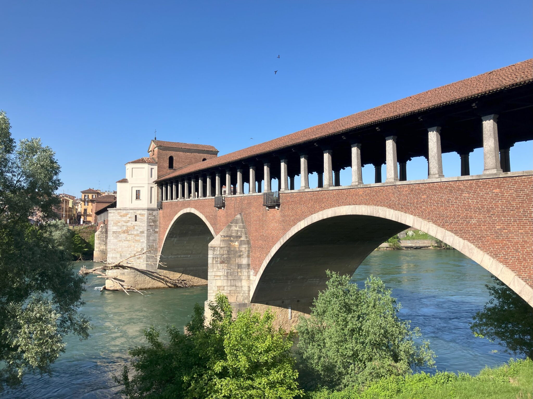 Pavia Guide: What to see & Where to stay in Pavia (2026)