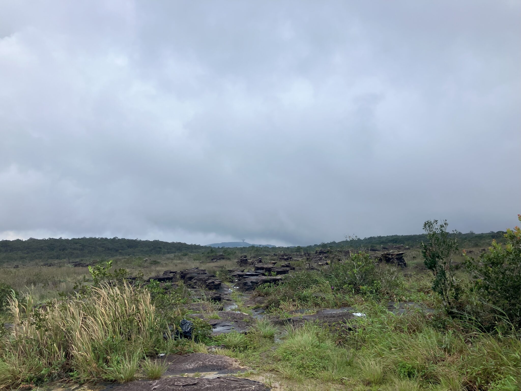 Bokor National Park: Perfect Daytrip from Kampot